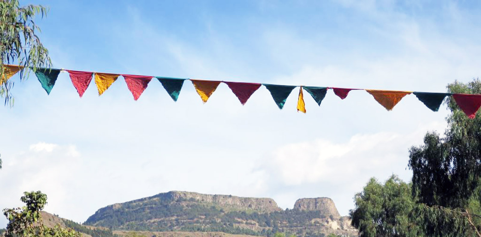 Contact - Kulima Integrated Development Solutions